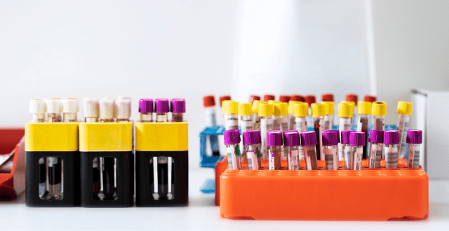 Forside - Bloddonorerne Danmark